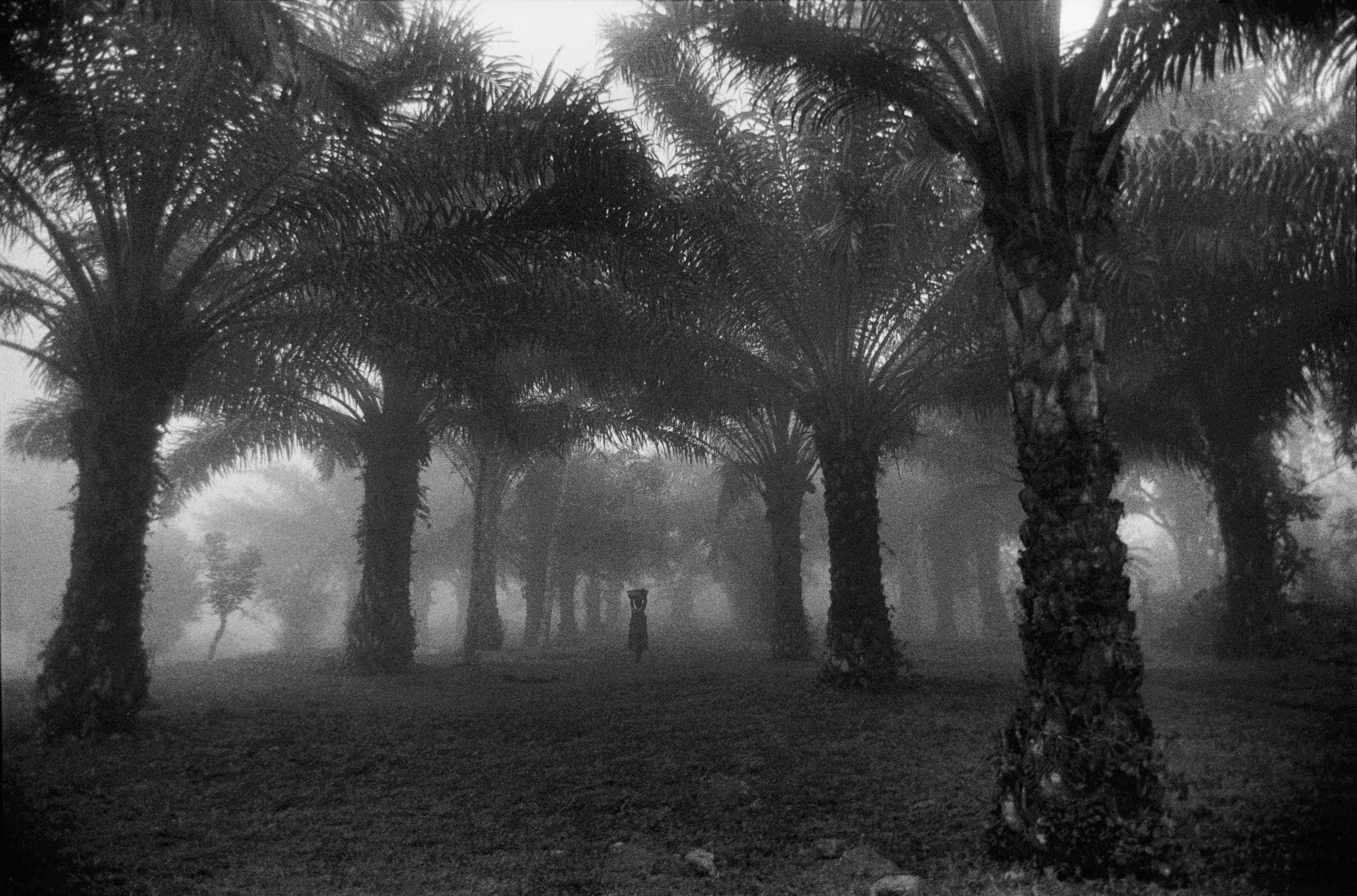 Petra Richterová: Clock of the Earth